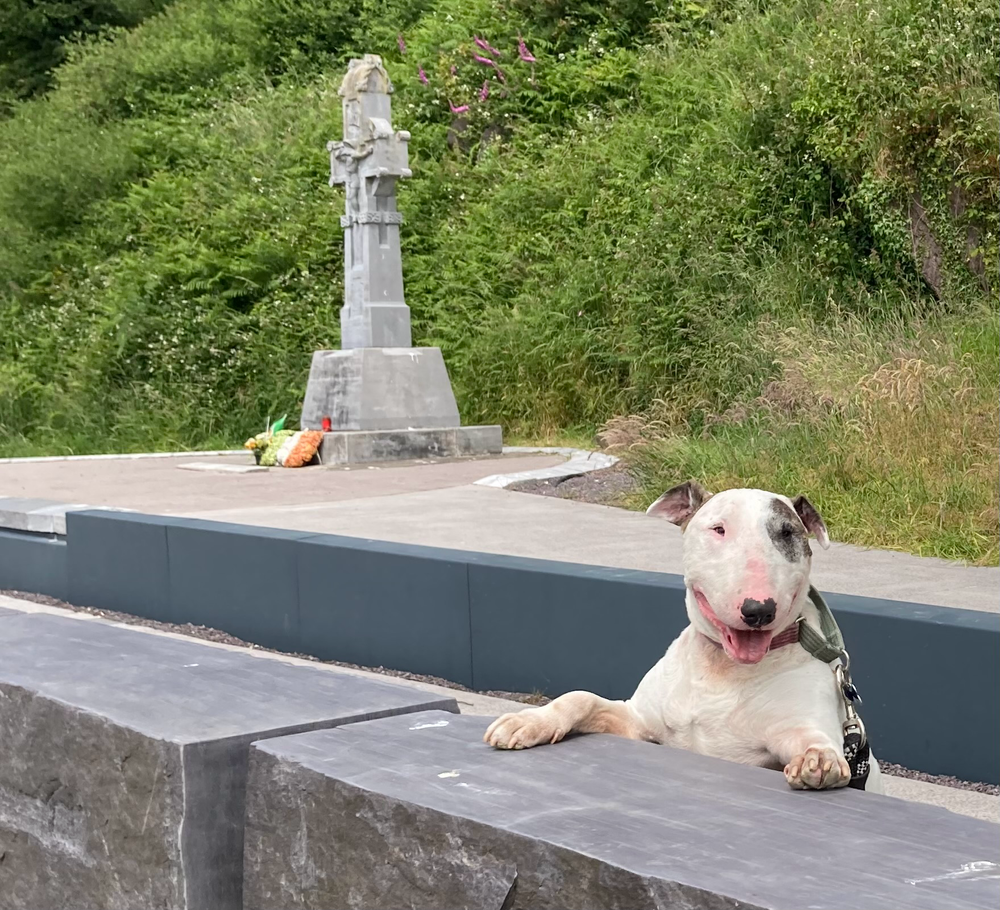 Recommended Reading, June 23, 2024